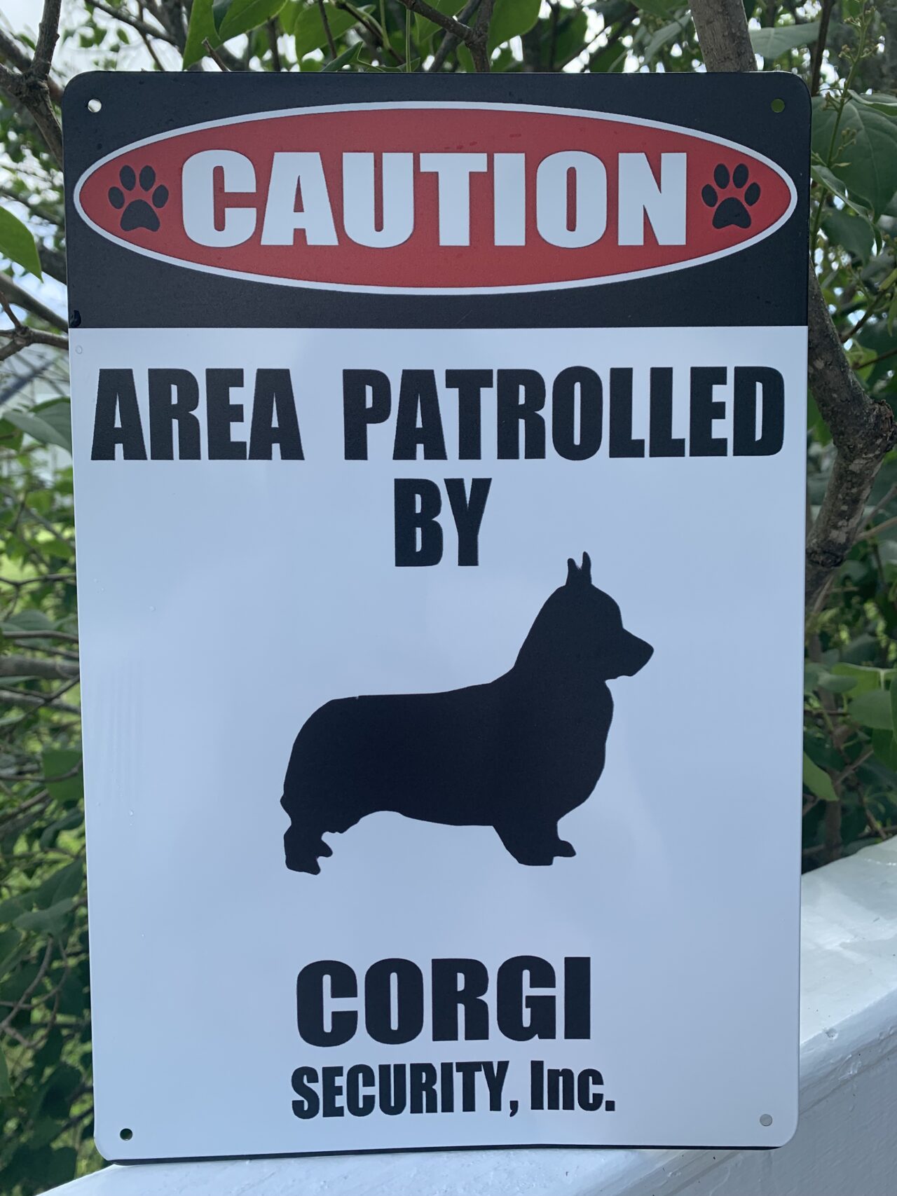 Corgi Patrol Metal Poster – Eyeguard